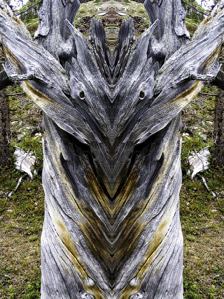 Nature Spirit Magic - The Art Photography of Willy K Pedersen | Crystal ...