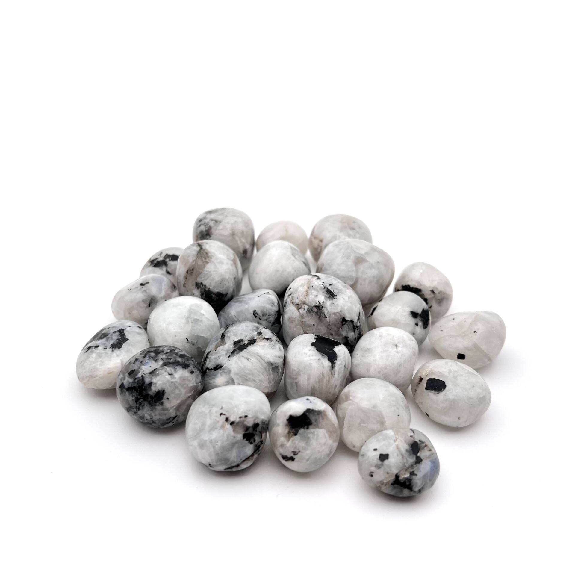 Rainbow Moonstone - Tumbled - Large | Crystal Life Technology Inc.