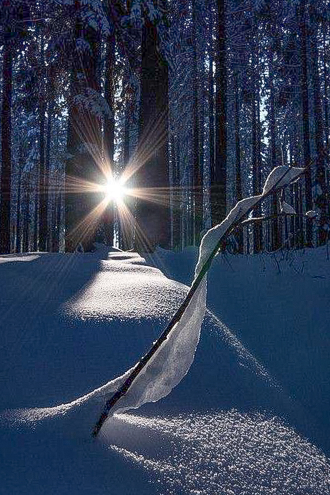Snowy Star Wins Contest | Nature Spirit Photo Contest | Crystal Life