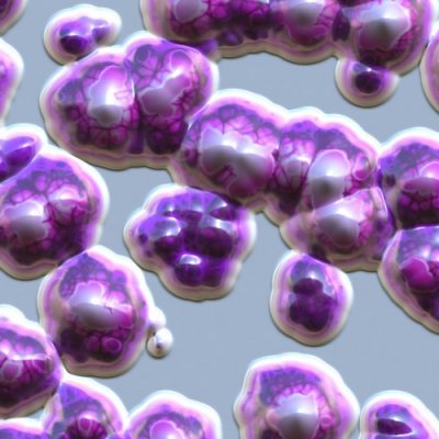 Cellular Memory | Crystal Life