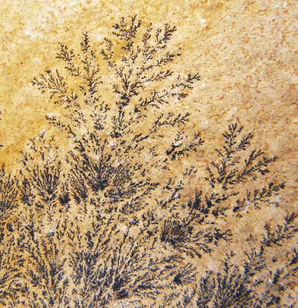 Dendritic Sandstone | Crystals & Gemstones | Crystal Life Technology, Inc.
