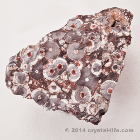 Bird's Eye Jasper | Crystals and Gemstones | Crystal Life Technology, Inc.