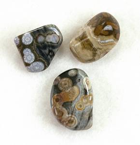 Ocean Jasper | Crystals and Gemstones | Crystal Life Technology, Inc.