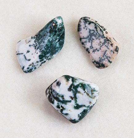 Tree Agate | Crystal Life