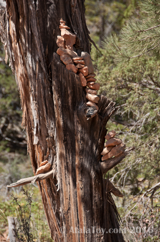 cairn stack in tree | Crystal Life